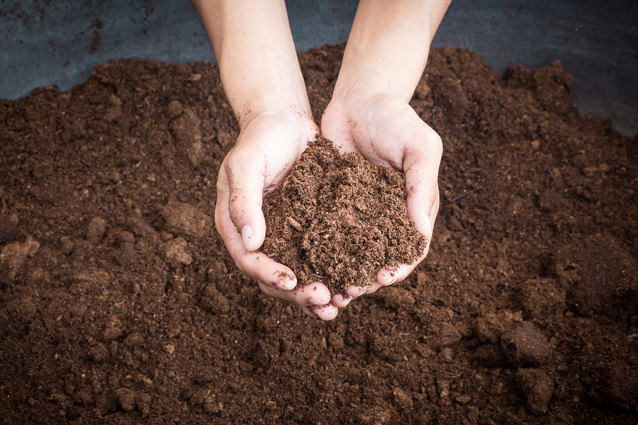 Unlocking the living soil