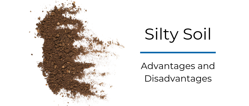 4 Key Soil Types: Advantages and Disadvantages