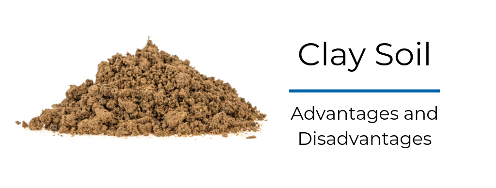 4 Key Soil Types: Advantages and Disadvantages