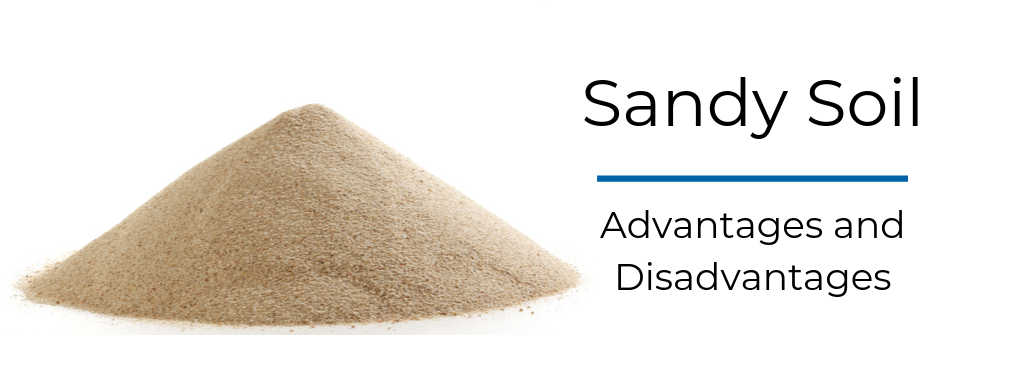 4 Key Soil Types: Advantages and Disadvantages