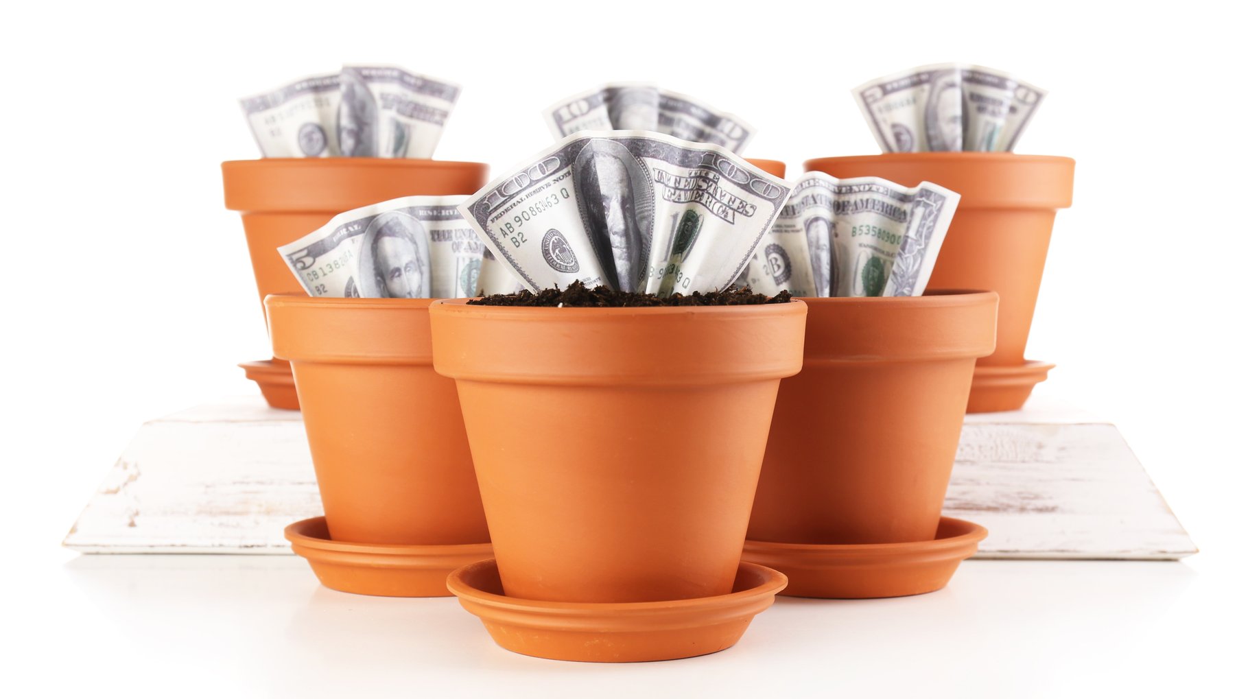 Why YOUR Lawn Care Company Should Add A Flower Program