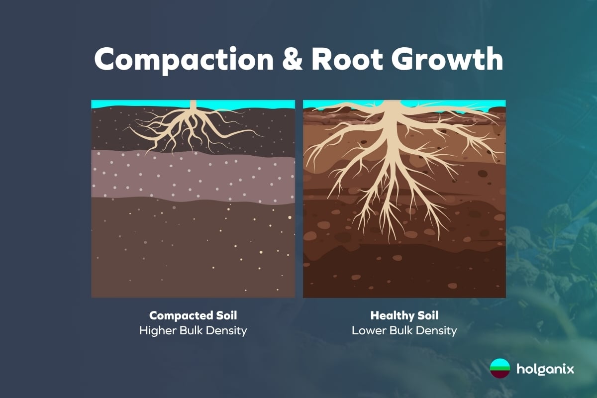 The Science Behind Soil Health: Understanding Bulk Density & Soil ...