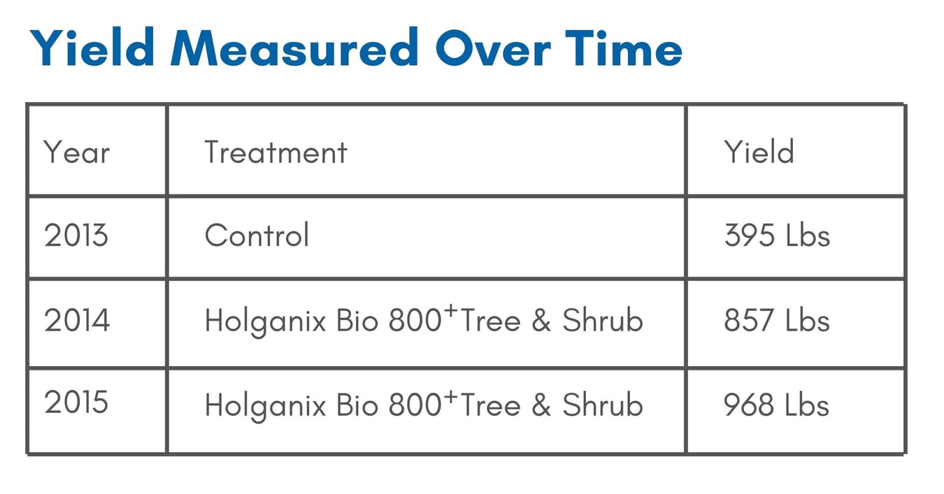 New Data: Increased Yield and Improved Brix Index