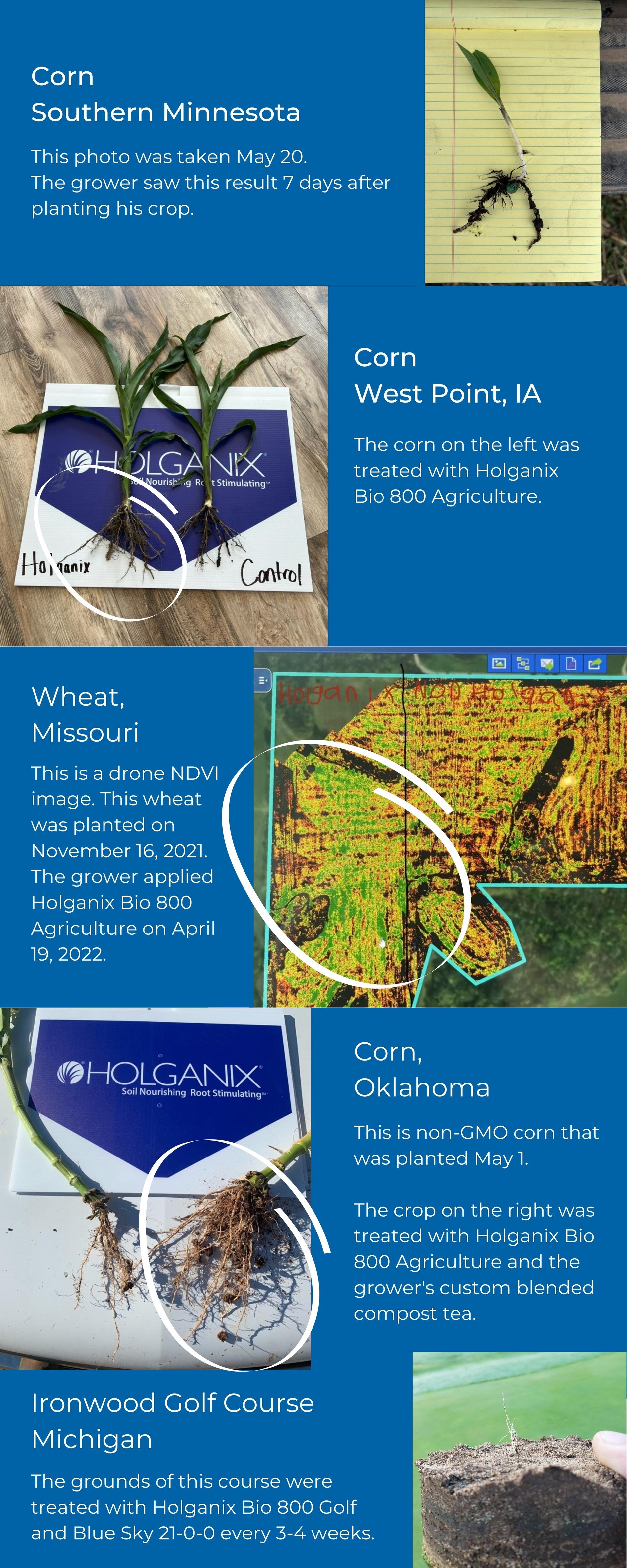 Roots Competition Update: Photos from the field