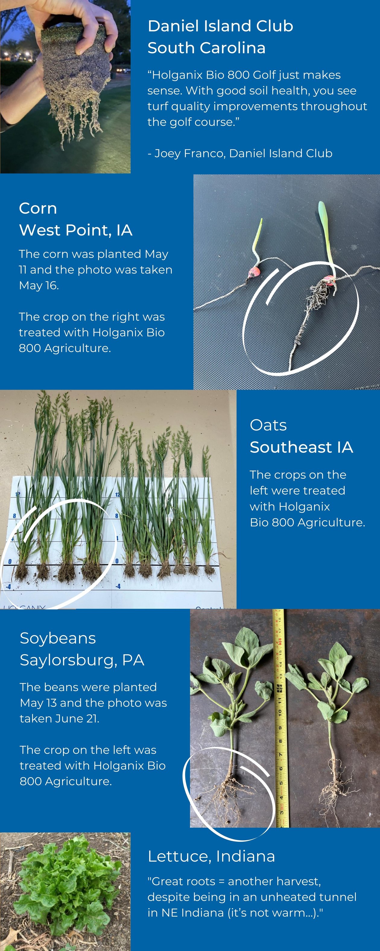 Roots Competition Update: Photos from the field