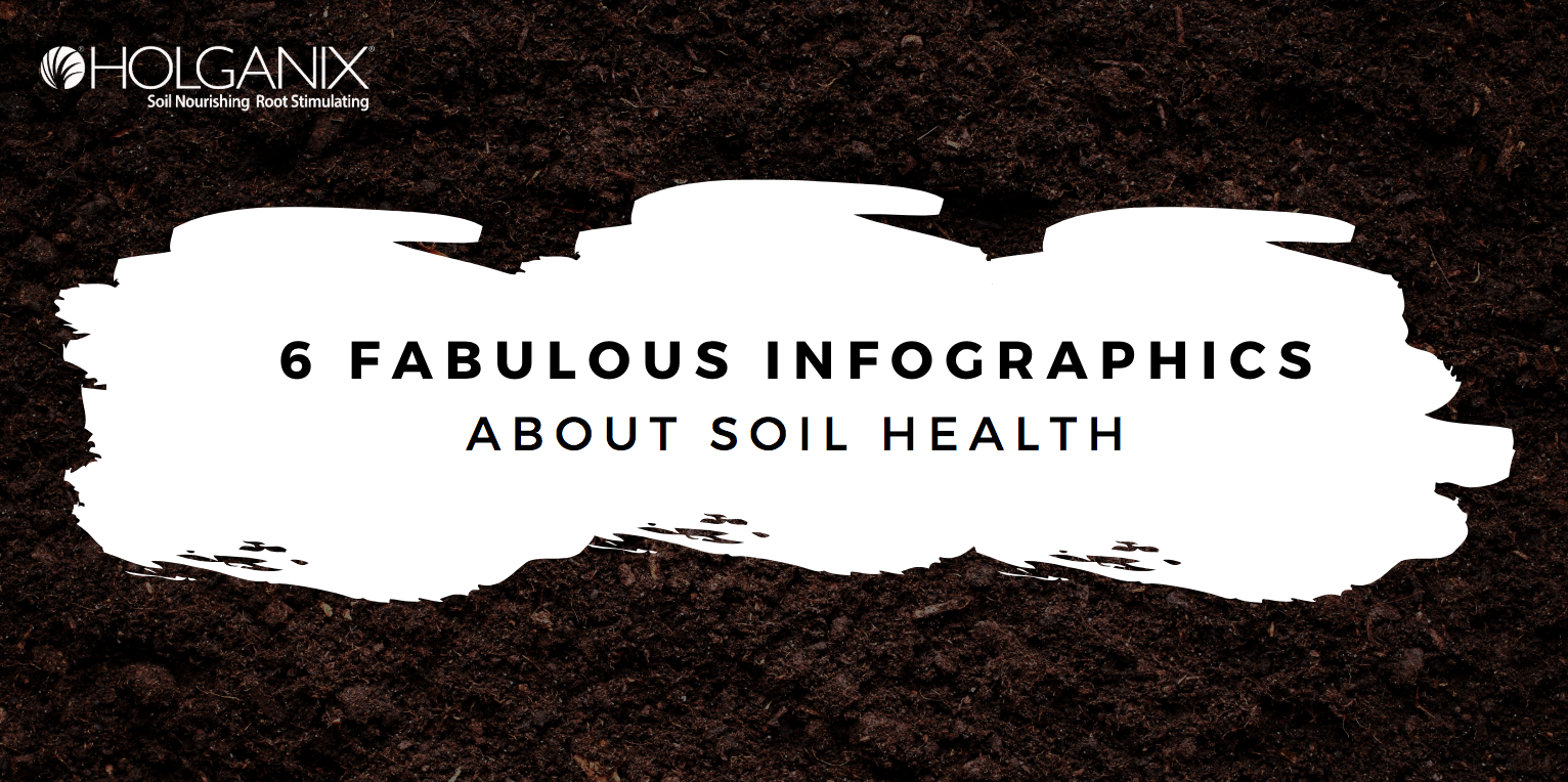 6 Fabulous Infographics about Soil Health [INFOGRAPHIC]