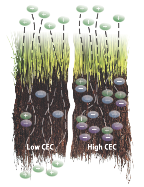 What is Cation Exchange Capacity?