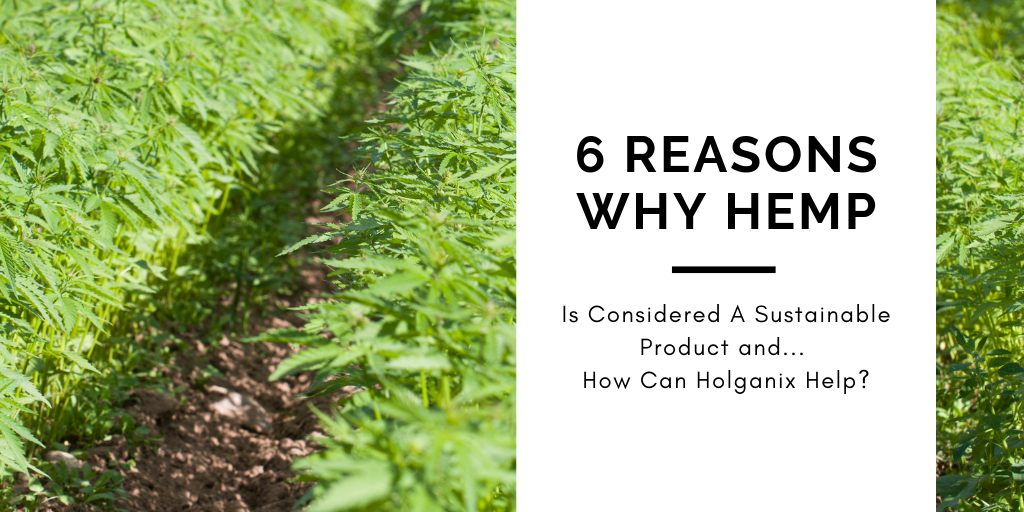 6 Reasons Why Hemp Is A Sustainable Product
