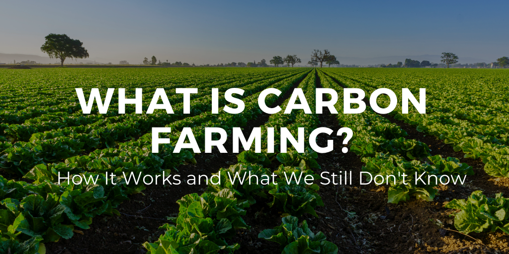 What is Carbon Farming: How It Works and What We Still Don’t Know.