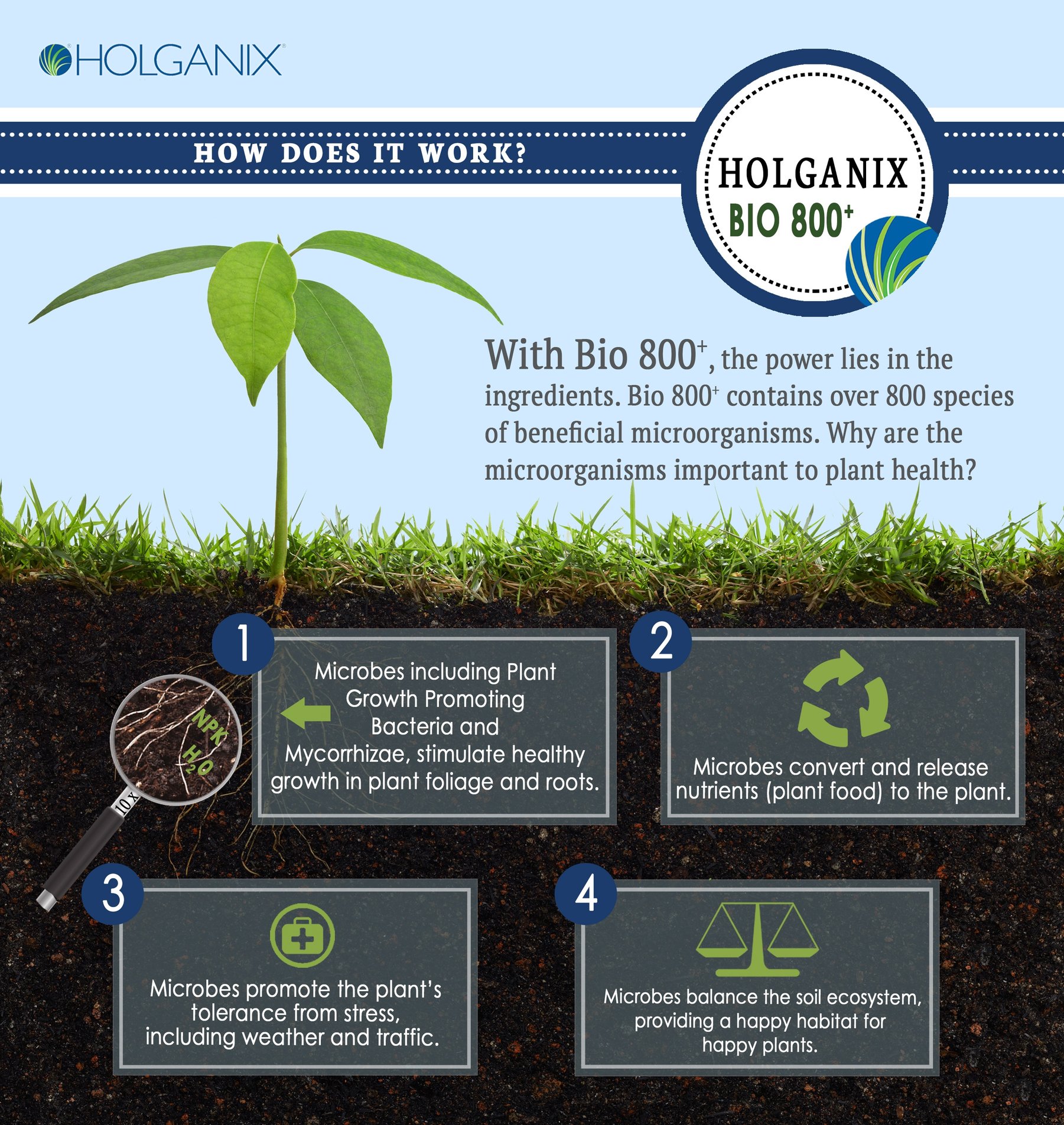 8 Advantages and Disadvantages of Using Organic Fertilizer