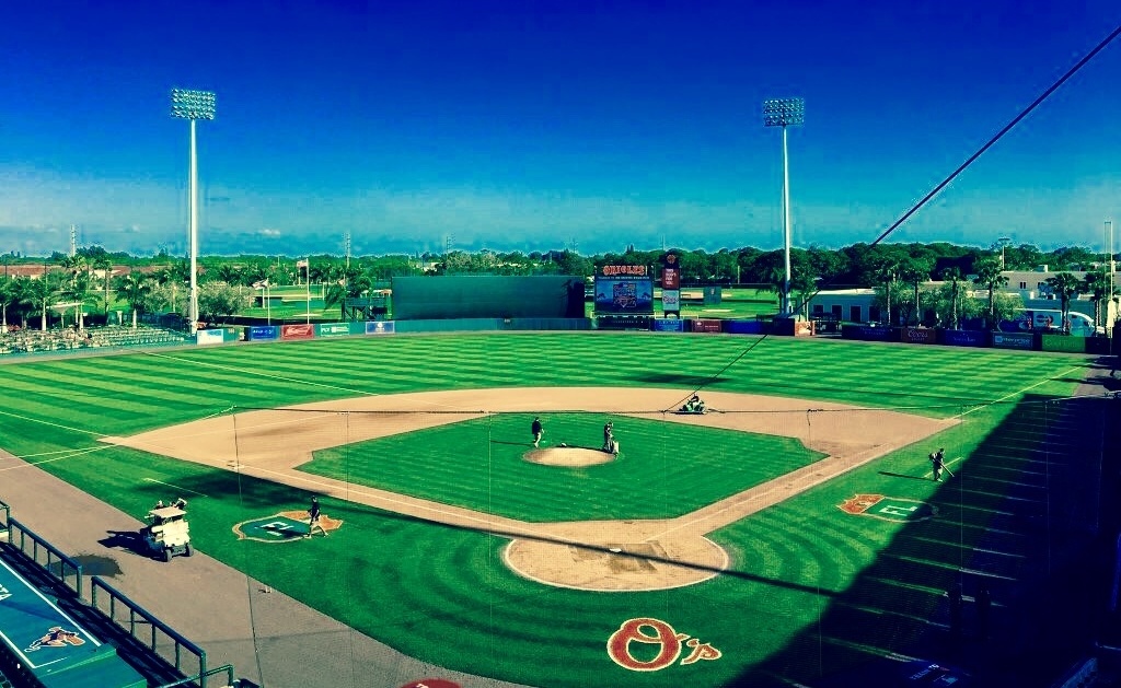 Getting to the ROOT of the problem at Ed Smith Stadium