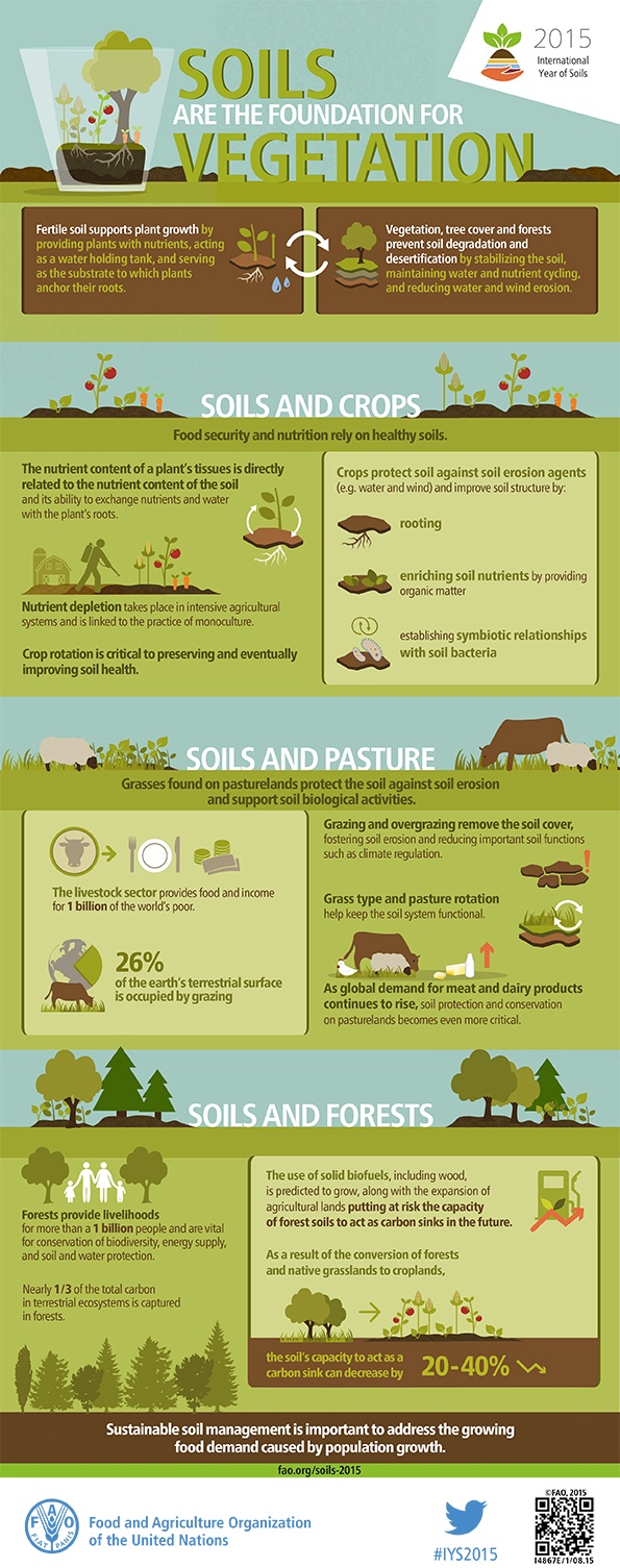 6 Fabulous Infographics about Soil Health [INFOGRAPHIC]