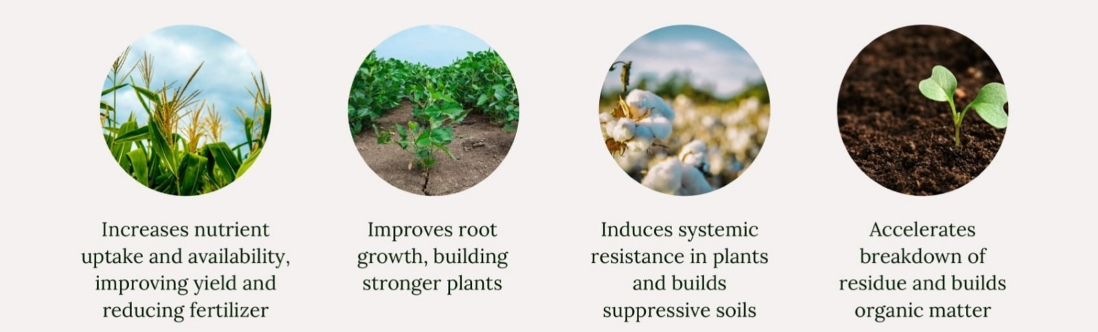 Holganix Bio 800 Agriculture: Build Soil Health And Improve Crop ...