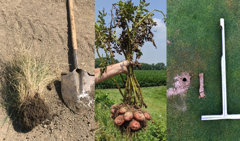 Dig Up Your Roots, Snap a picture, and WIN Holganix Swag